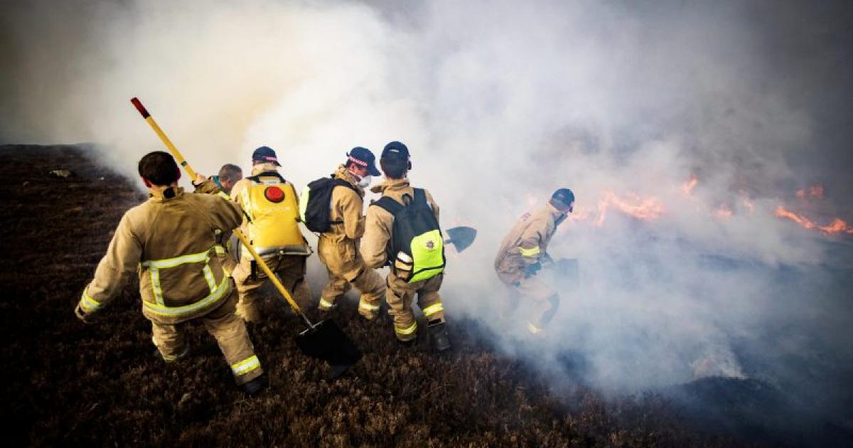 NIFRS advises the public to prevent fires in the countryside - Photo 1 ...