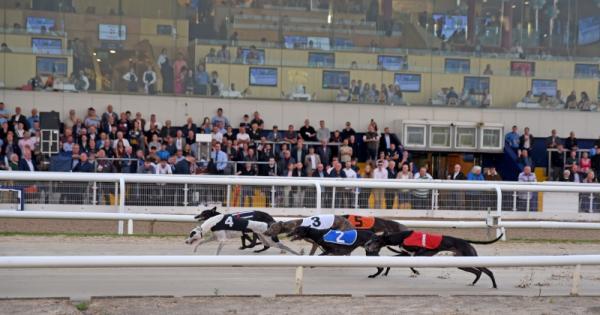 Annual July 12 Dual Race Day at Dundalk Stadium - Photo 1 of 1 - Alpha ...