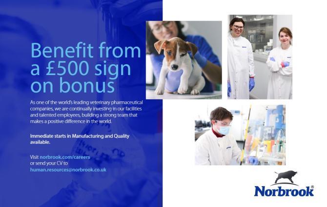 Working at Norbrook allows team members to make a difference - Alpha ...