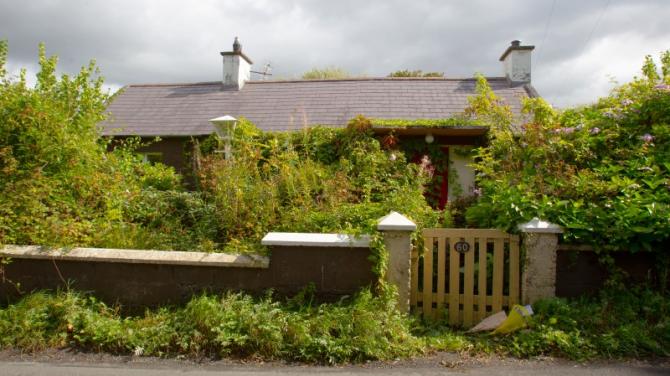 Newry couple deaths clarification - Photo 1 of 1 - Alpha Newspaper Group